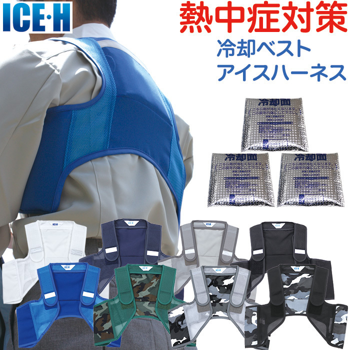 団体展・はがきサイズのアート展・姉のこと: ちいかめのブログ